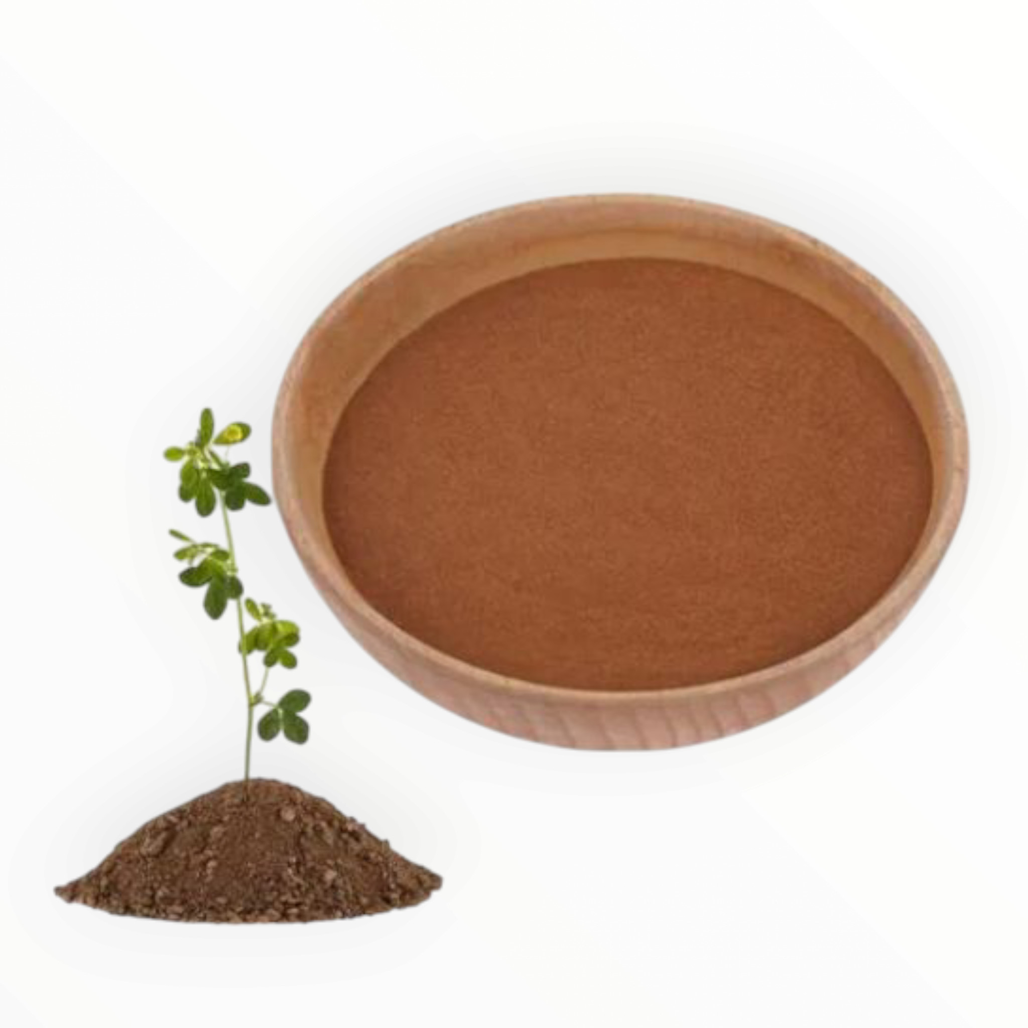 Growth Regulator Molasses Powder New Type Fertilizer Strengthen Root System